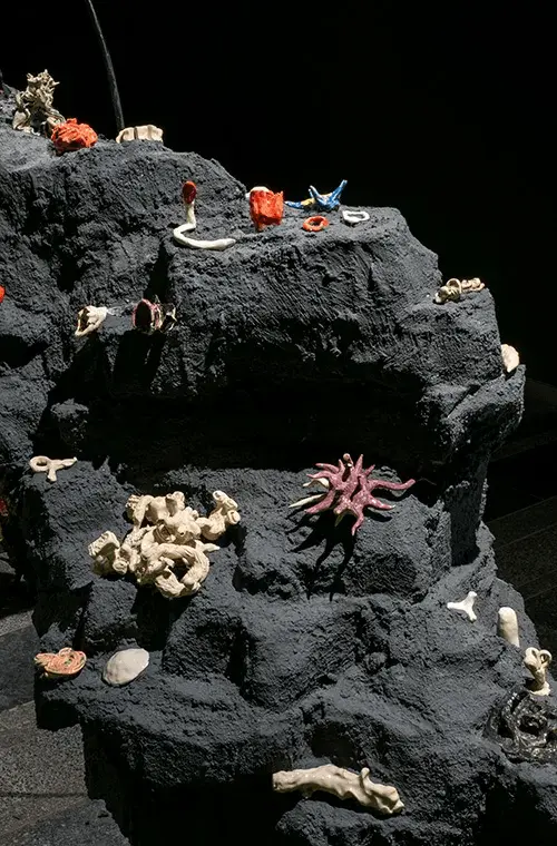 Variable Name / Назва змінна - PinchukArtCentre